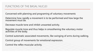 Basal nuclei | PPTX