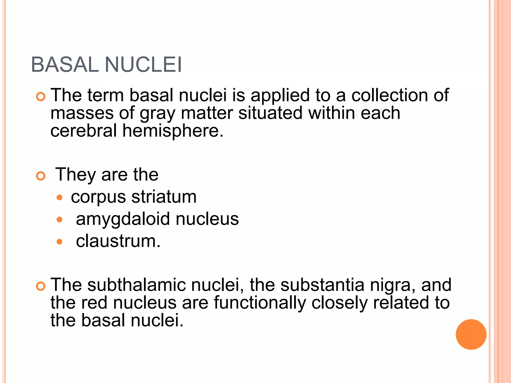 BASAL NUCLEI.pptx