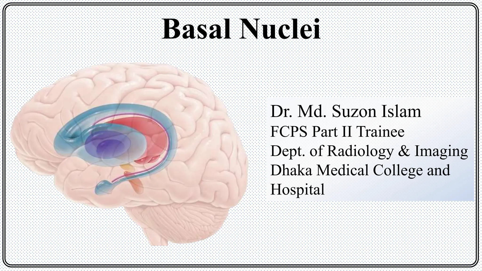 basal nuclei | PPTX