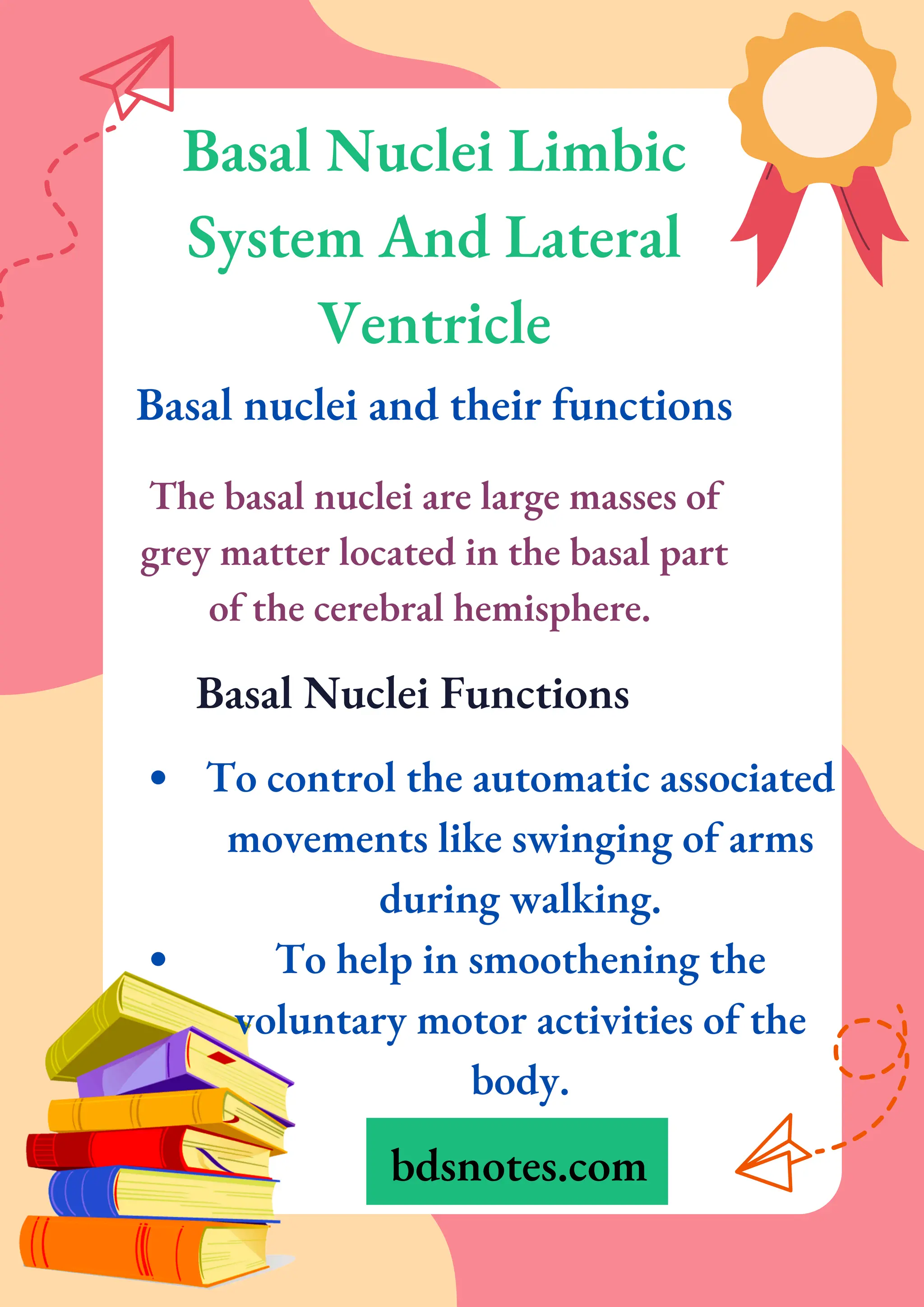 Basal ganglia: Gross anatomy and function | PDF | Brain and Nervous ...