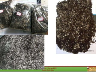 Basalt rock fiber | PDF