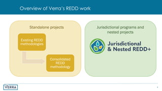 Verra’s Consolidated REDD methodology for high-integrity forest carbon ...