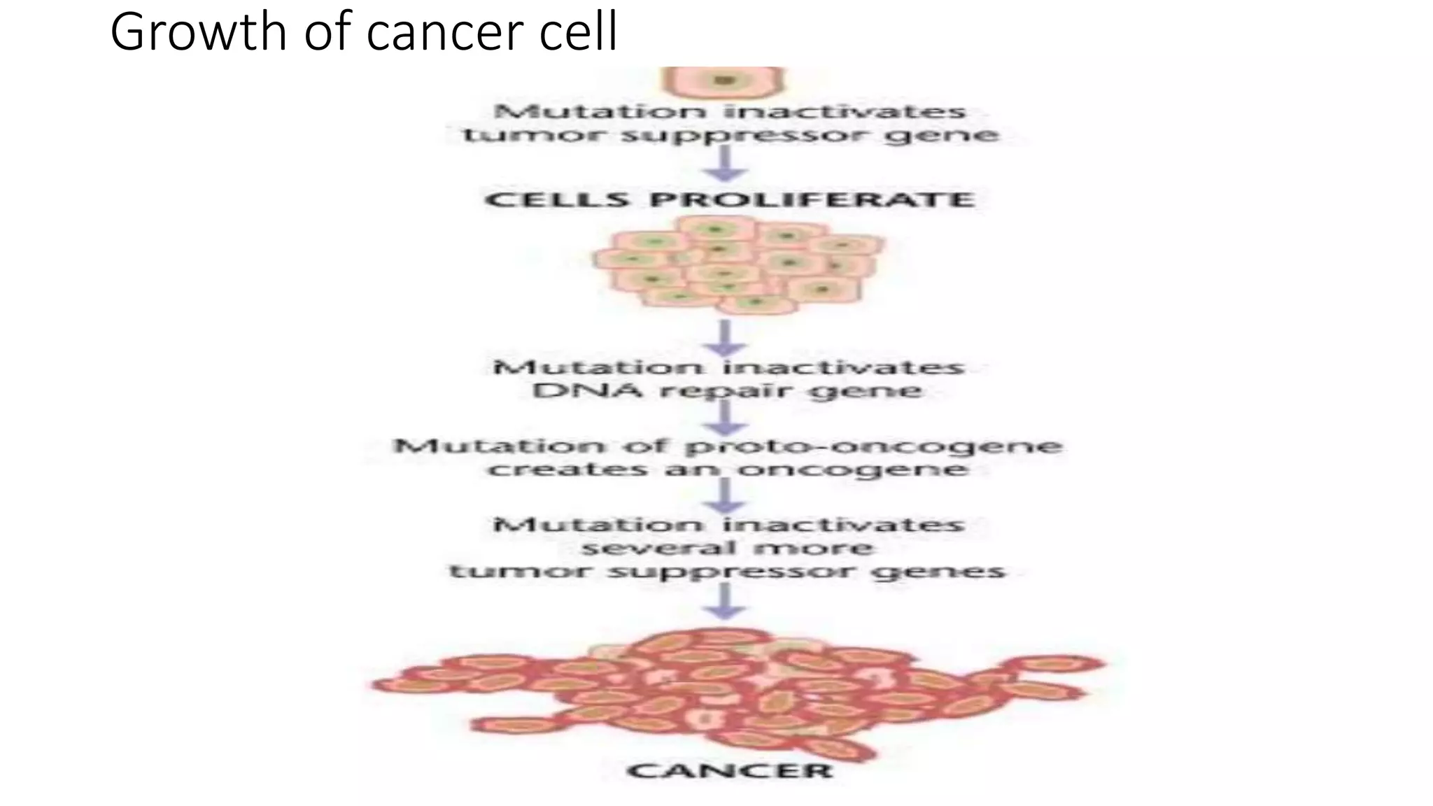 Tumor targeting drug delivery systems by basant | PPTX