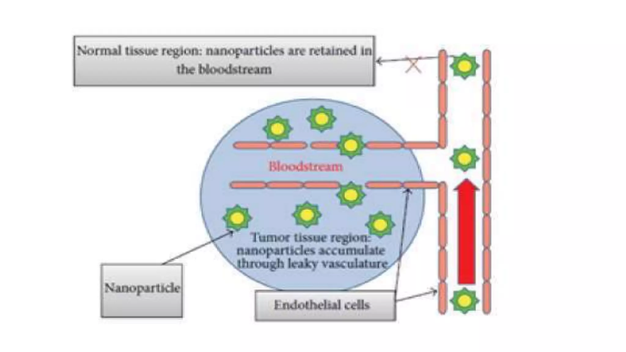 Tumor Targeting Drug Delivery Systems By Basant Ppt