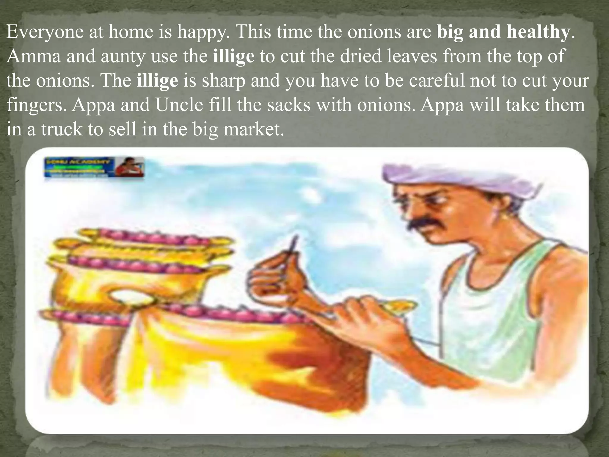 BASVA'S FARM CHAPTER-14 | PPTX