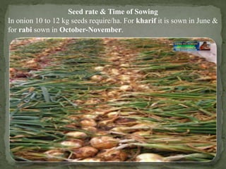 BASVA'S FARM CHAPTER-14 | PPTX