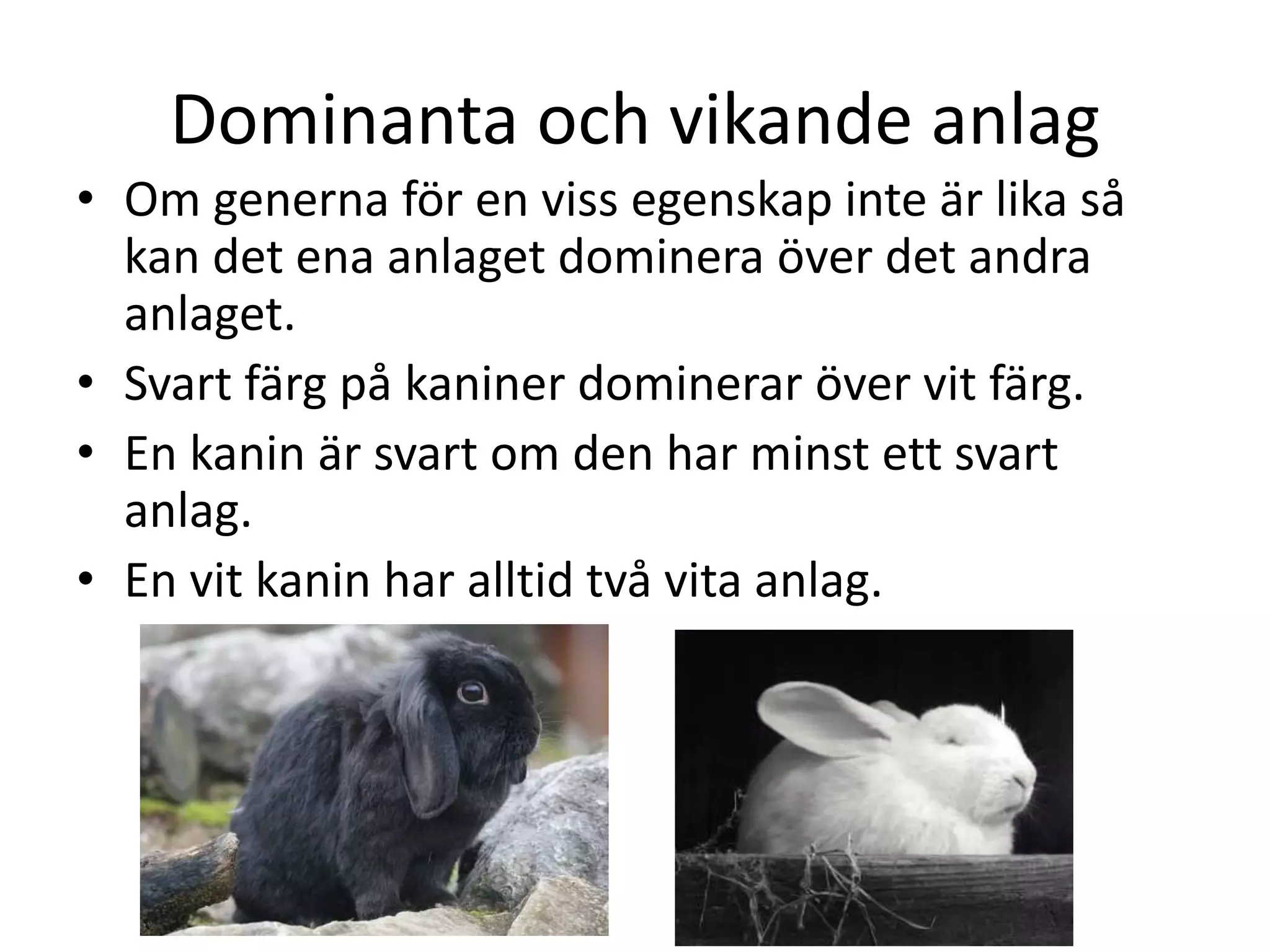 Lena Koinberg | Biologi NP repetition: Sammanfattning åk 9 | PPTX