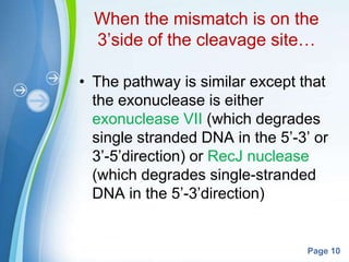 Base pair mismatch | PPTX