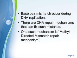 Base pair mismatch | PPT