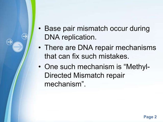 Base pair mismatch | PPT