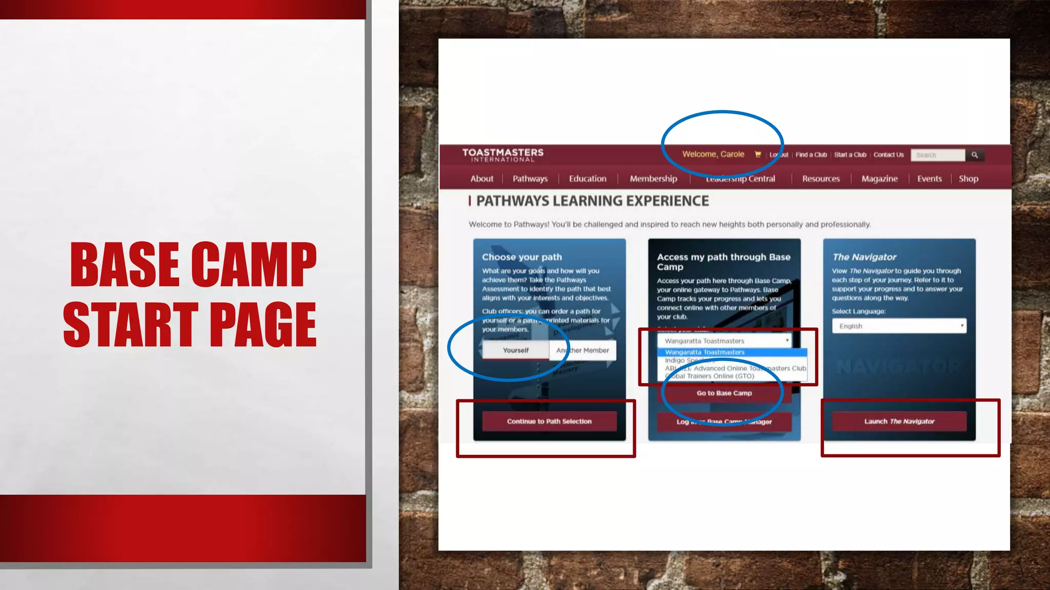 Base camp basics dashboard and transcript | PPT