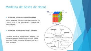 Base de datos | PPTX