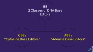 Base editing, prime editing, Cas13 & RNA editing and organelle base ...