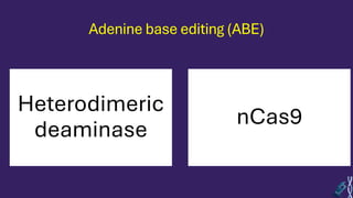 Base editing, prime editing, Cas13 & RNA editing and organelle base ...