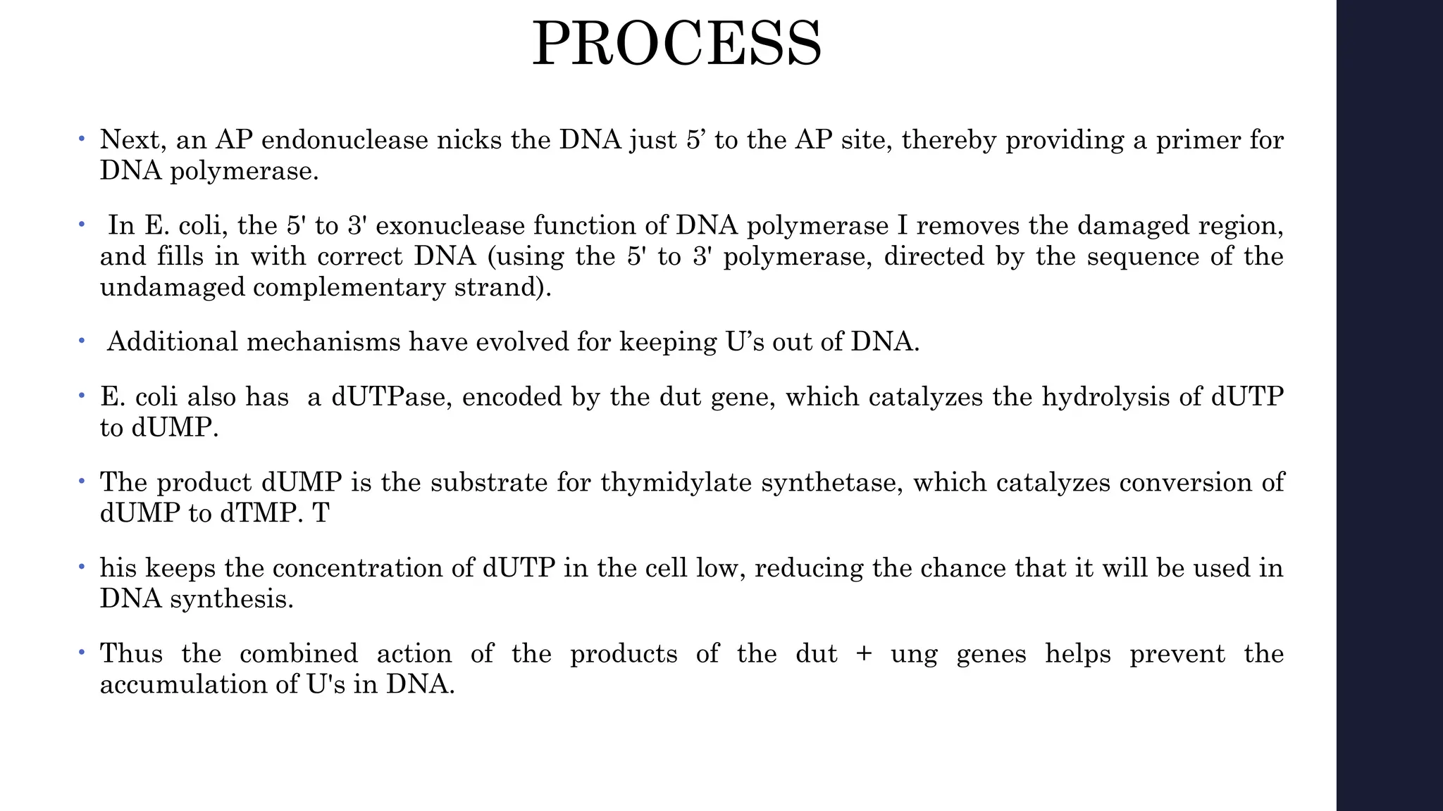 BASE EXCISION REPAIR.pptDNA sequence rem | PPT
