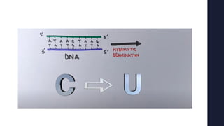 BASE EXCISION REPAIR.pptDNA sequence rem | PPT