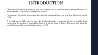 BASE EXCISION REPAIR.pptDNA sequence rem | PPT
