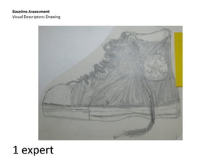 Baseline assessment visual descriptors 2D only | PPT