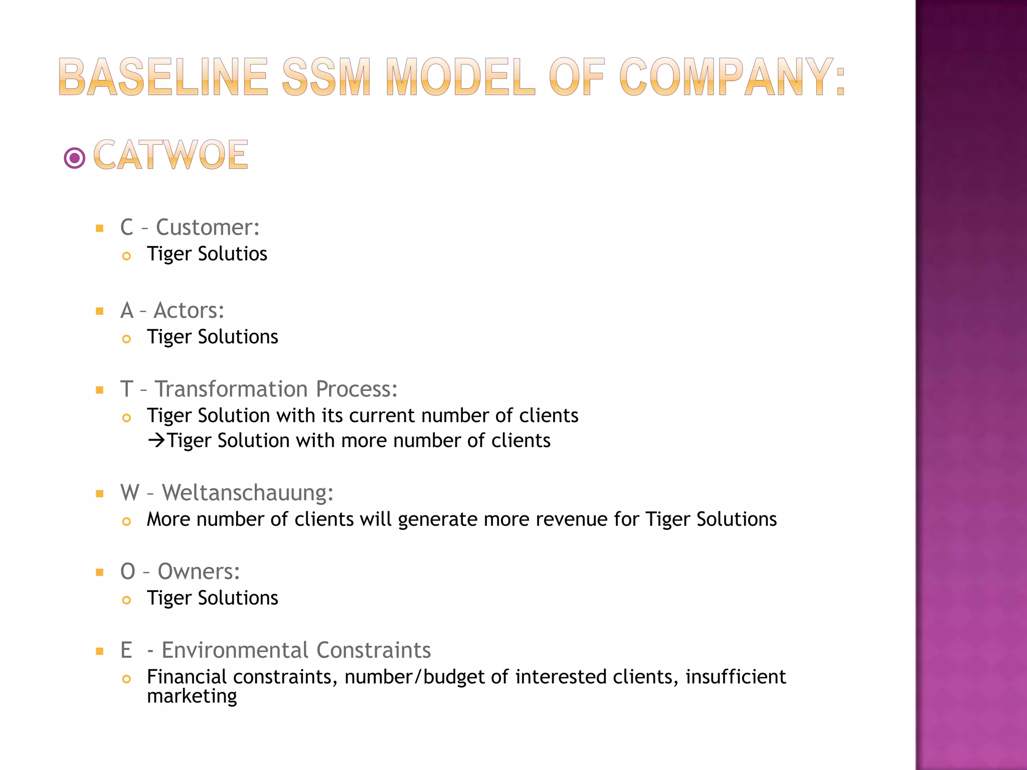 Baseline ssm model of company | PPT