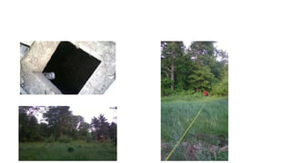 Base mapping | PPTX