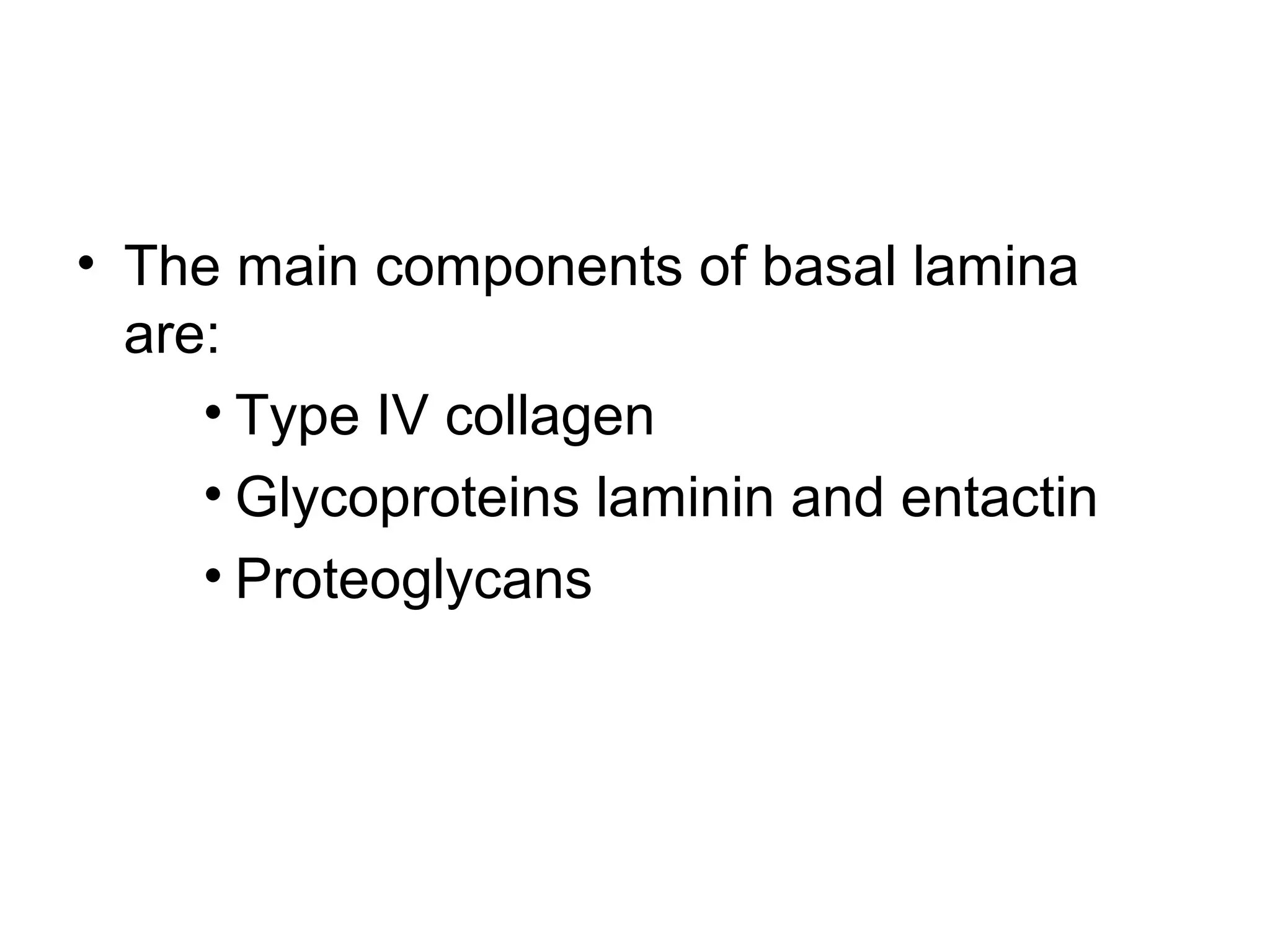 Basement membrane | PPT