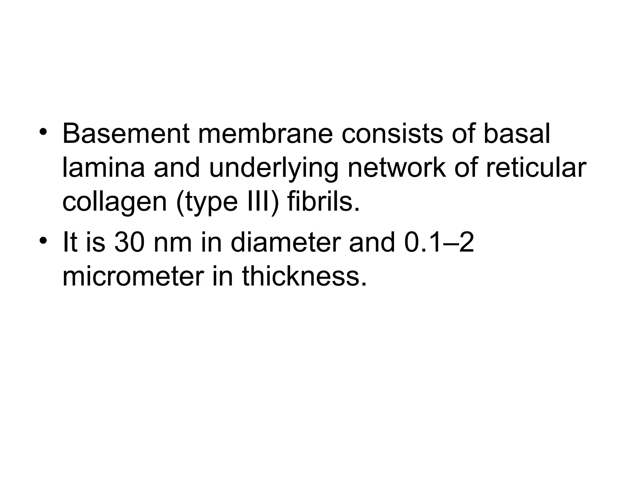 Basement membrane | PPT