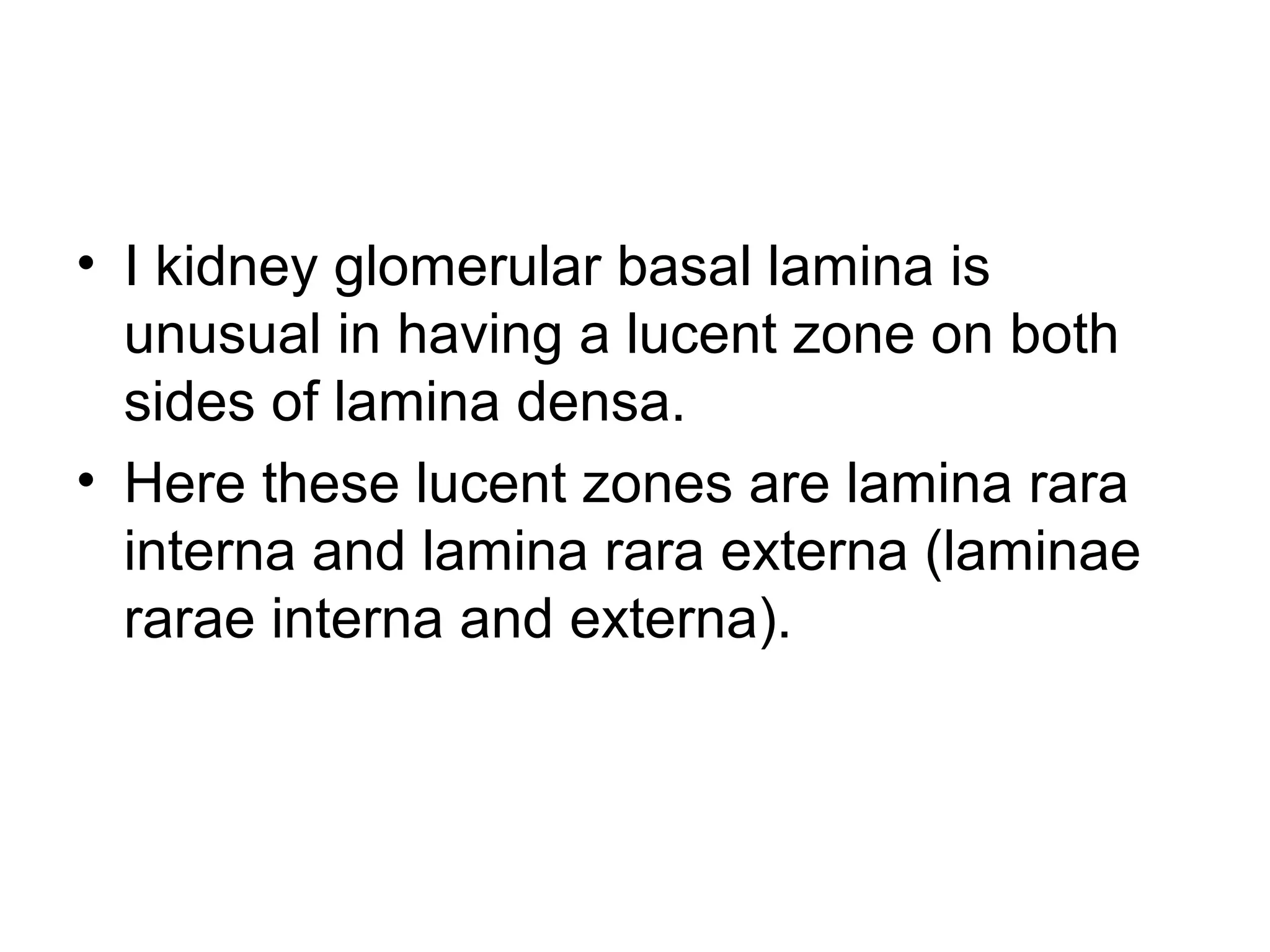 Basement membrane | PPT