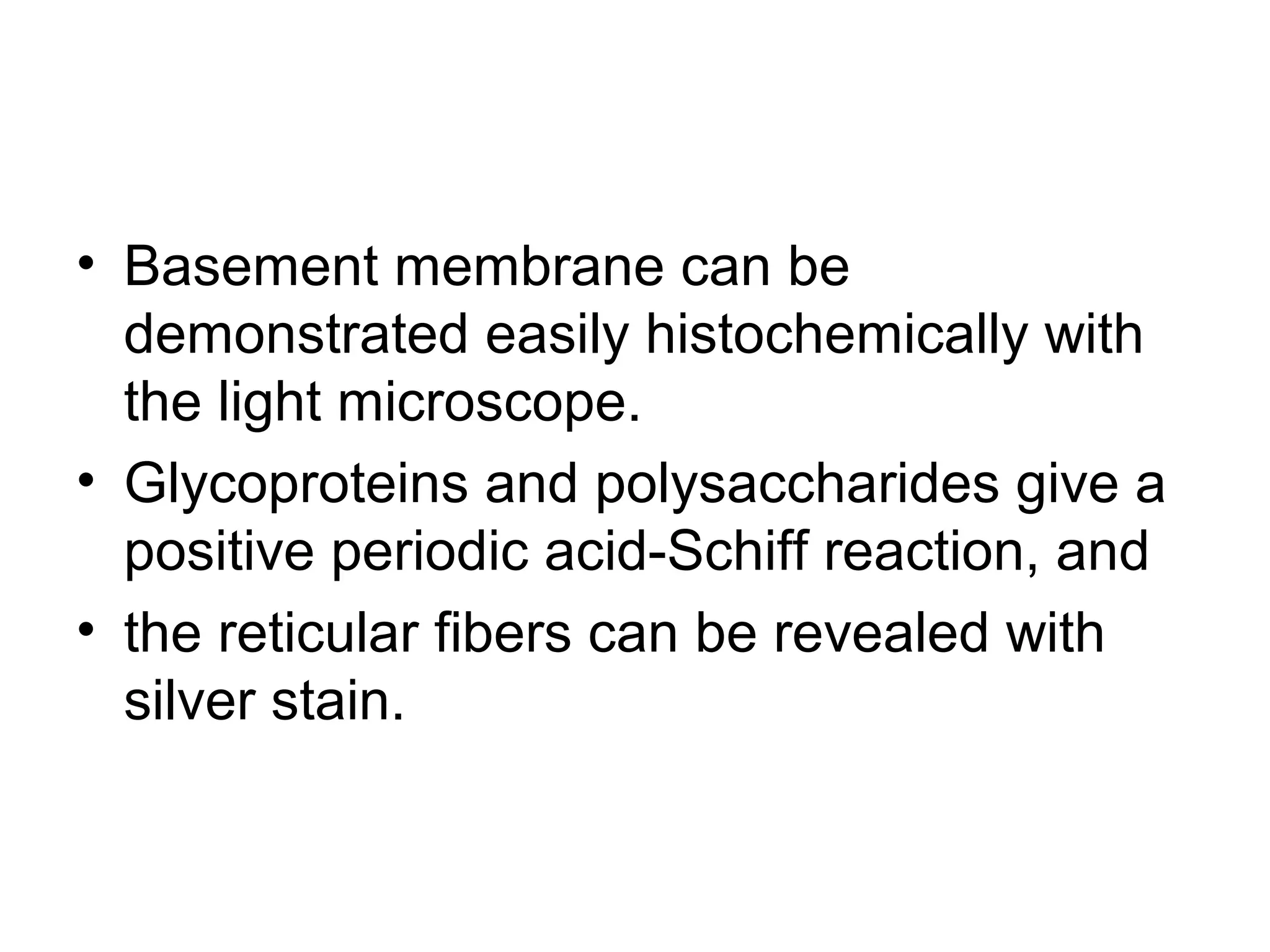 Basement membrane | PPT