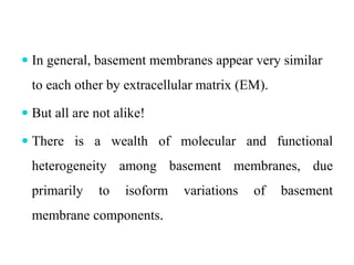 Basement membrane integrity in oral cancer repair | PPTX