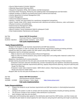 Basem zidan resume | DOC | Logistics | Business