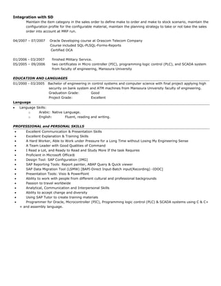 Basem zidan resume | DOC | Logistics | Business