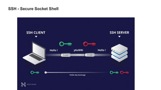 Basic Net technologies | PPTX