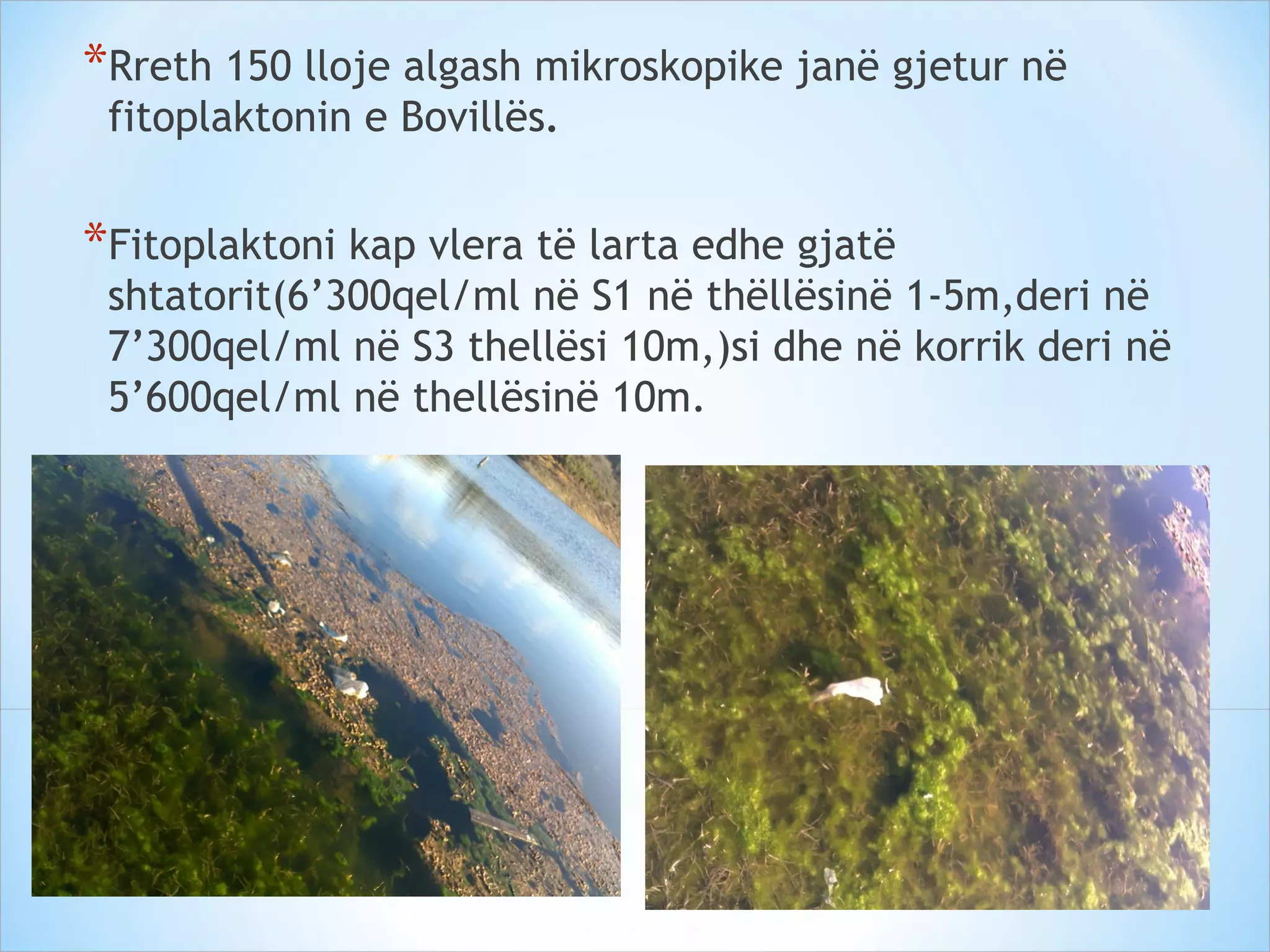 Basenet ujore dhe pellgu ujembledhes i bovilles janar | PPT