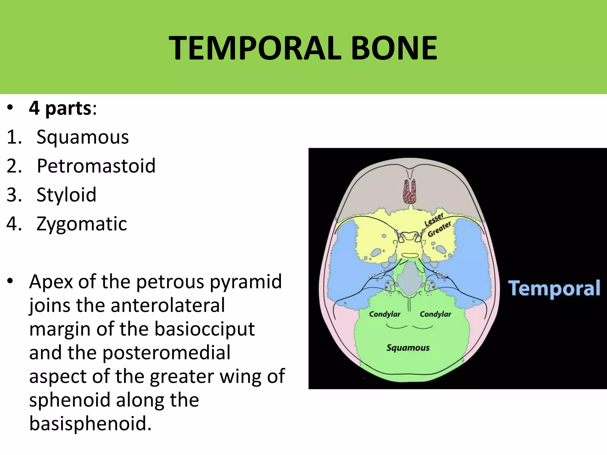 “BASE OF SKULL: ANATOMY and APPLIED ASPECT” | PDF