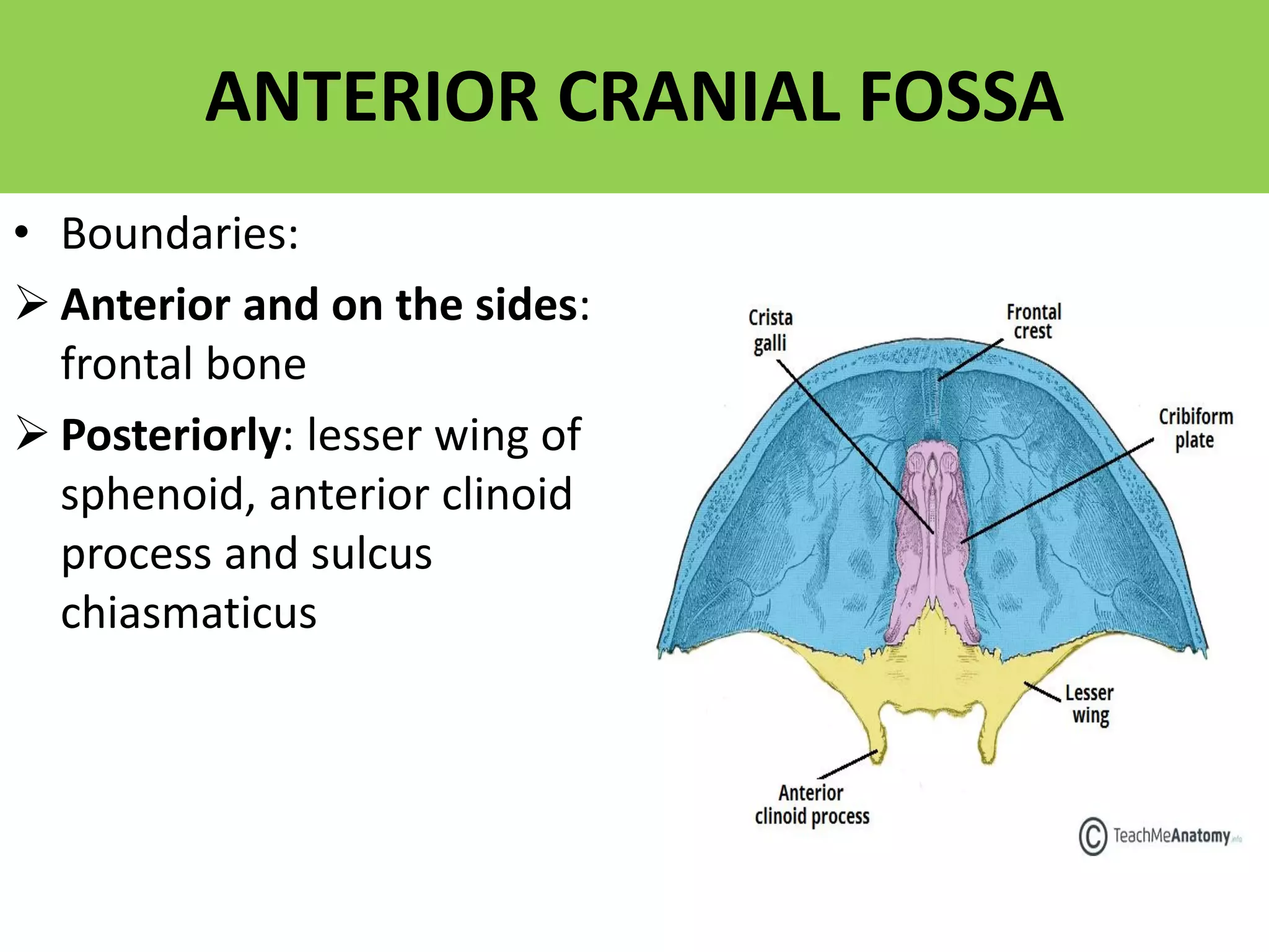 “BASE OF SKULL: ANATOMY and APPLIED ASPECT” | PDF
