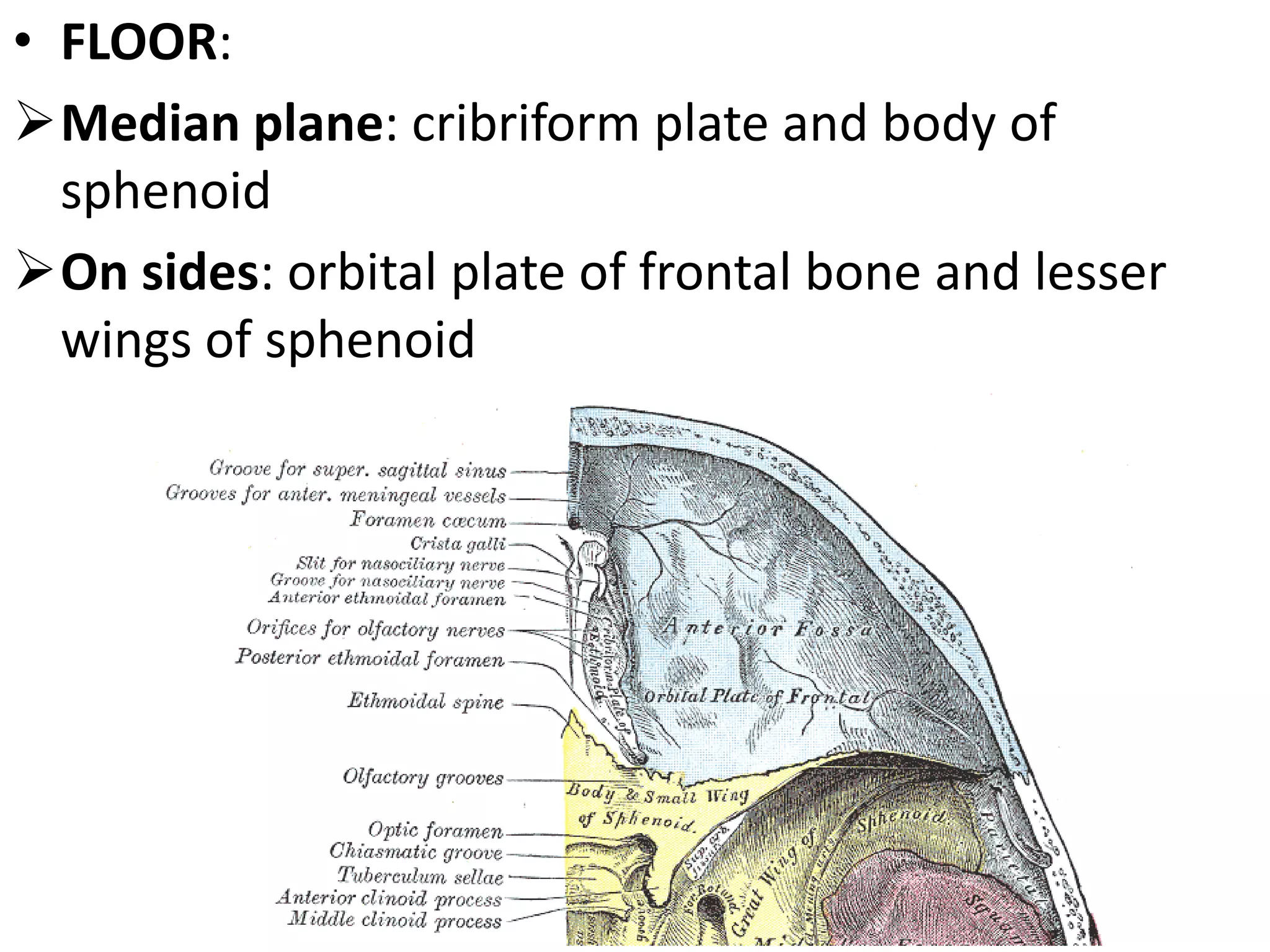 “BASE OF SKULL: ANATOMY and APPLIED ASPECT” | PDF