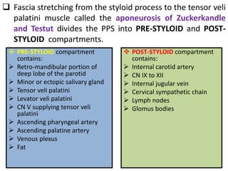 “BASE OF SKULL: ANATOMY and APPLIED ASPECT” | PDF