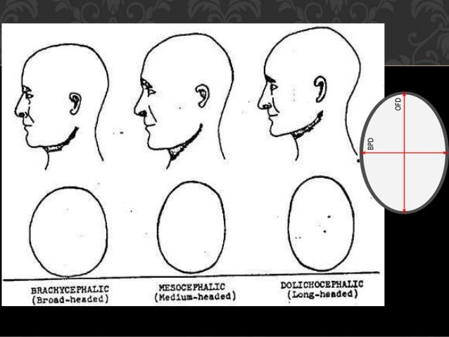 Diseases of The Skull