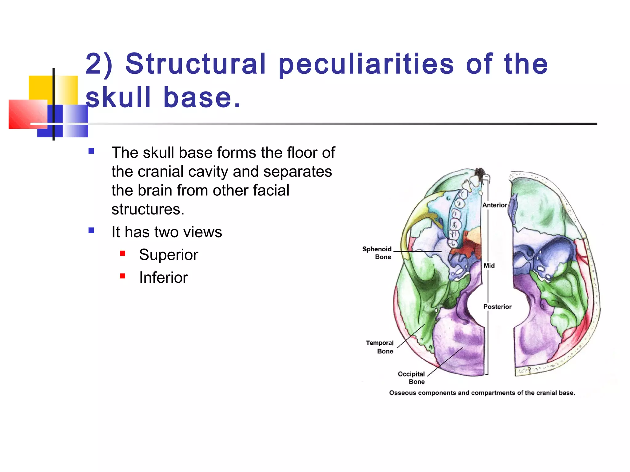 Base of skull by dr kifayat | PPT