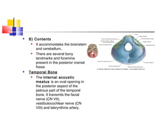 Base of skull by dr kifayat | PPT