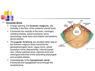 Base of skull by dr kifayat | PPT