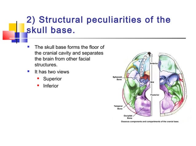 Base of skull by dr kifayat | PPT | Death, Injury, or Military Conflict ...