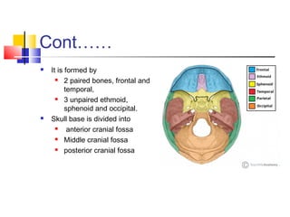 Base of skull by dr kifayat | PPT