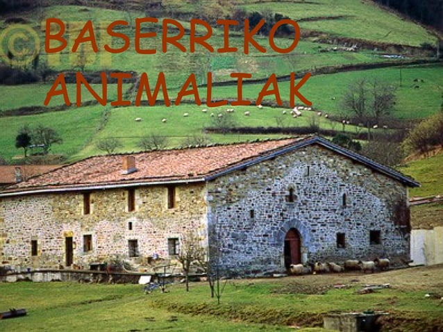 Baserriko animaliak | PPT
