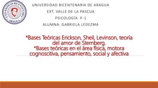 Bases Teoricas | PPTX