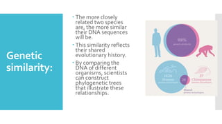 BASES-ON-THE-THEORIES-OF-EVOLUTION-Copy.pptx