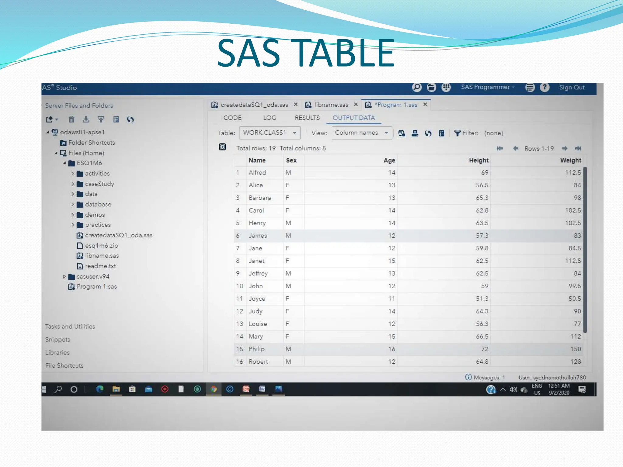 GENERAL CONCEPTS OF BASE SAS PROGRAMMING.pptx
