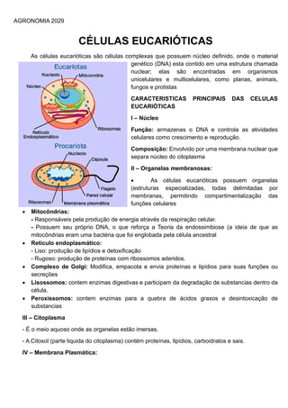 Estudos das Bases Biológicas das Células eucarioticas e procarióticas | PDF