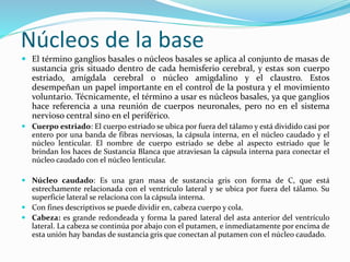 Bases biologicas de la conducta | PPTX