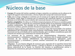 Bases biologicas de la conducta | PPTX